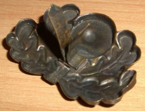 Кокарда лесника?